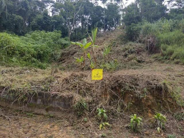Terreno / Lote para Venda em Juiz de Fora/MG São Pedro