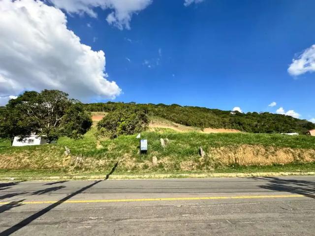 Terreno / Lote para Venda em Juiz de Fora/MG São Pedro