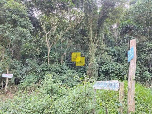 Terreno / Lote para Venda em Juiz de Fora/MG Santa Terezinha