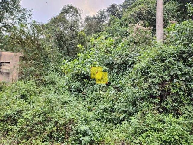 Terreno / Lote para Venda em Juiz de Fora/MG Santa Terezinha