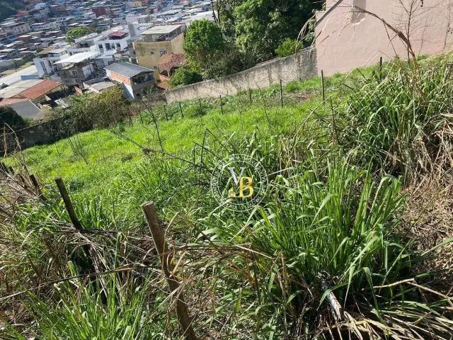 Terreno / Lote para Venda em Juiz de Fora/MG Santa Isabel