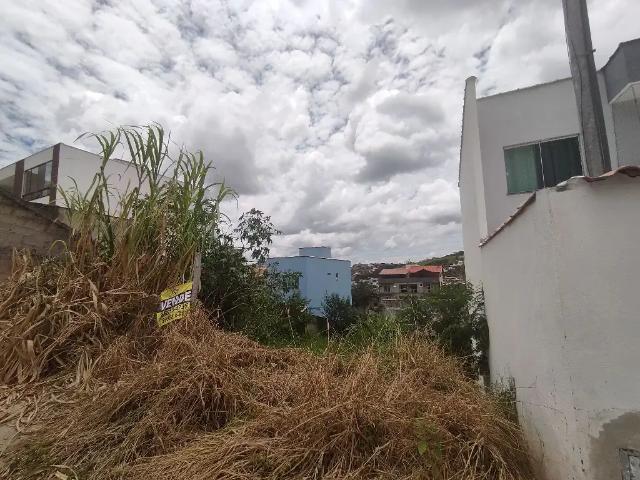 Terreno / Lote para Venda em Juiz de Fora/MG Santa Isabel