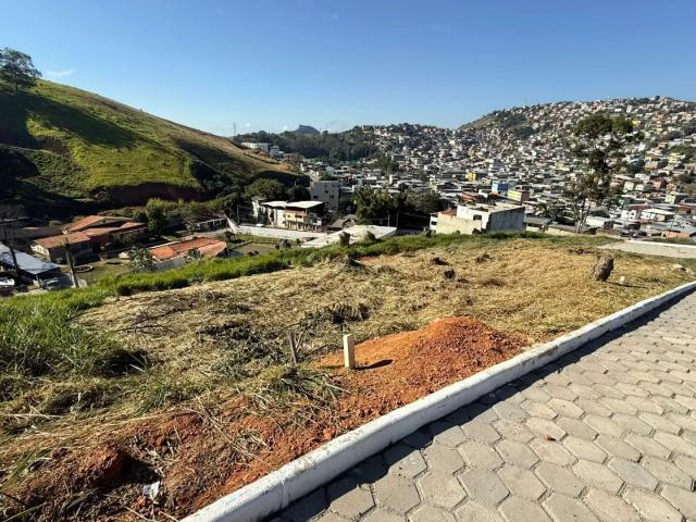 Terreno / Lote para Venda em Juiz de Fora/MG Santo Antônio