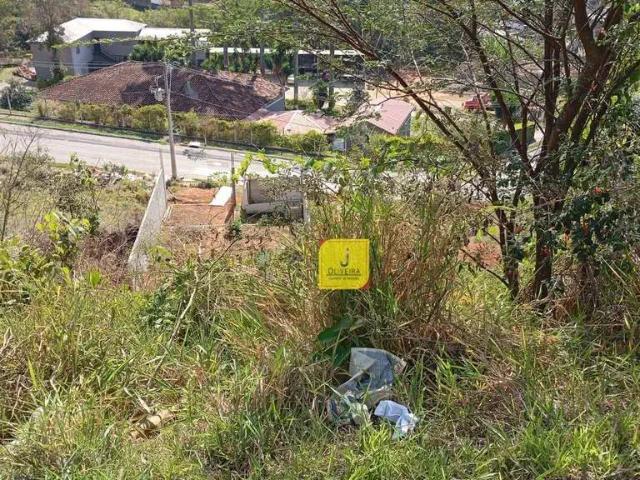 Terreno / Lote para Venda em Juiz de Fora/MG Sagrado Coração de Jesus