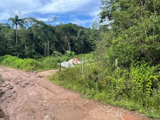 Terreno / Lote para Venda em Juquitiba/SP Centro