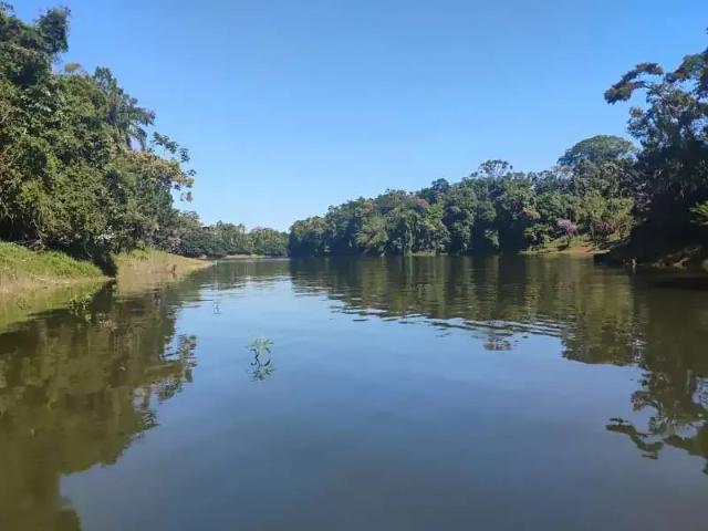 Terreno / Lote para Venda em Juquitiba/SP Centro