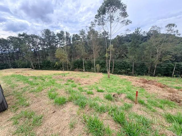 Terreno / Lote para Venda em Juquitiba/SP Centro