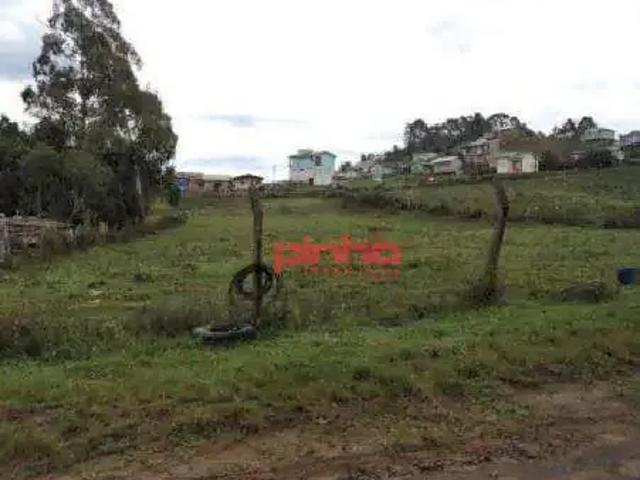 Terreno / Lote para Venda em Lages/SC Caroba