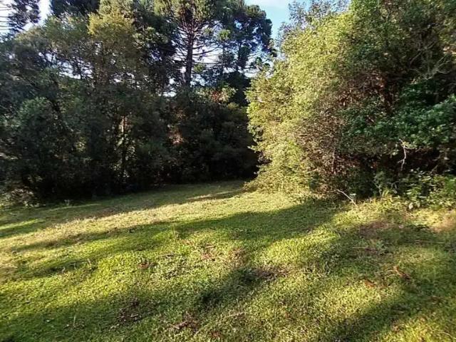 Terreno / Lote para Venda em Lages/SC Santa Terezinha do Salto