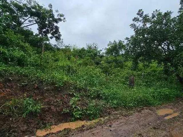 Terreno / Lote para Venda em Lagoa do Carro/PE Centro