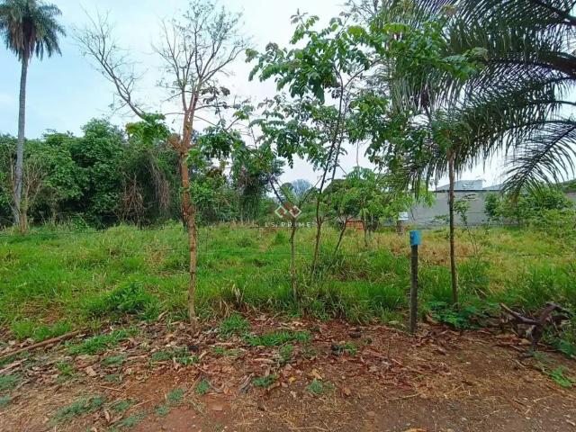 Terreno / Lote para Venda em Lagoa Santa/MG Mangueiras