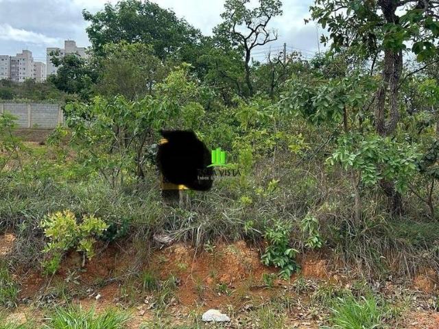 Terreno / Lote para Venda em Lagoa Santa/MG Mariposas