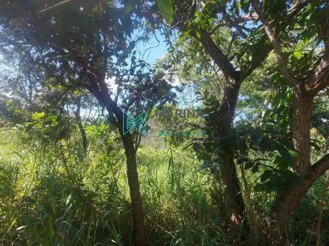 Terreno / Lote para Venda em Lagoa Santa/MG Nossa Senhora de Lourdes