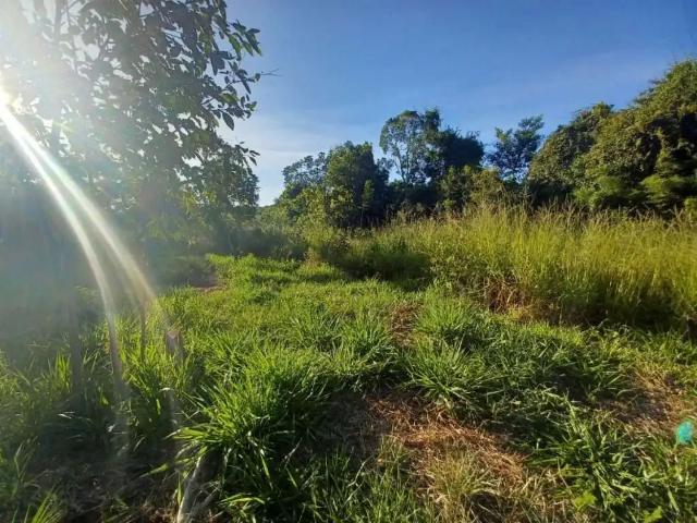 Terreno / Lote para Venda em Lagoa Santa/MG Novo Santos Dumont
