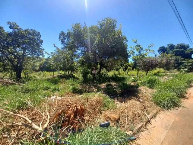 Terreno / Lote para Venda em Lagoa Santa/MG Novo Santos Dumont