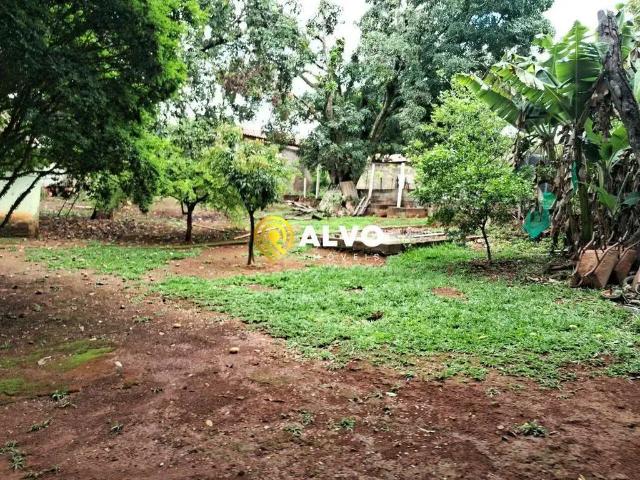 Terreno / Lote para Venda em Lagoa Santa/MG Novo Santos Dumont