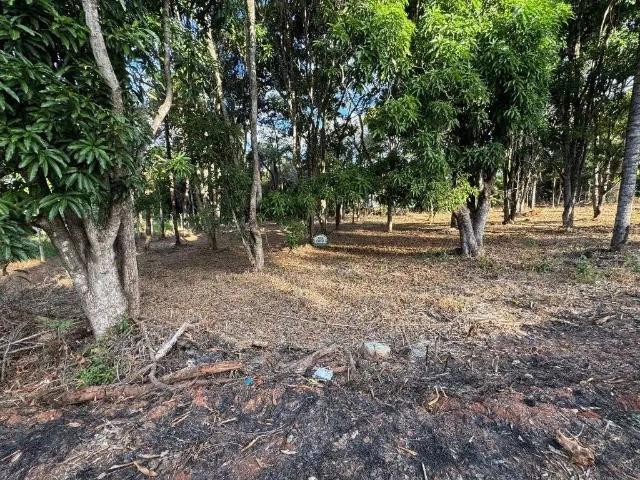 Terreno / Lote para Venda em Lagoa Santa/MG Campinho de Baixo