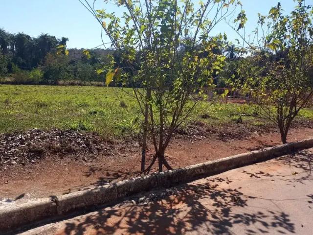 Terreno / Lote para Venda em Lagoa Santa/MG Campinho de Baixo