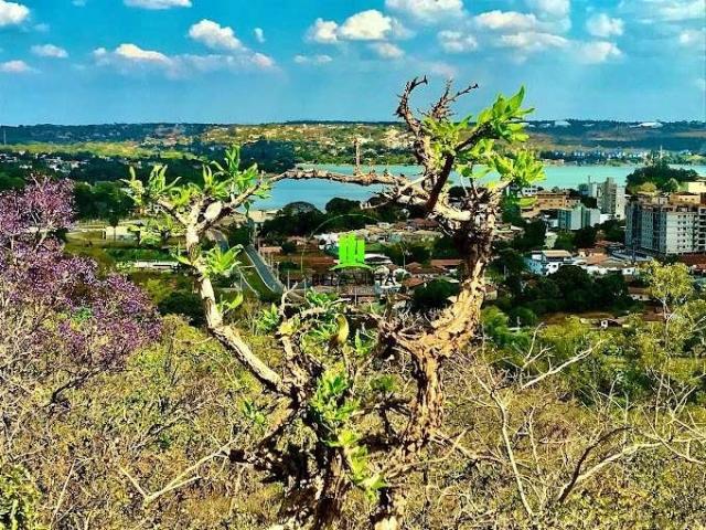 Terreno / Lote para Venda em Lagoa Santa/MG Centro