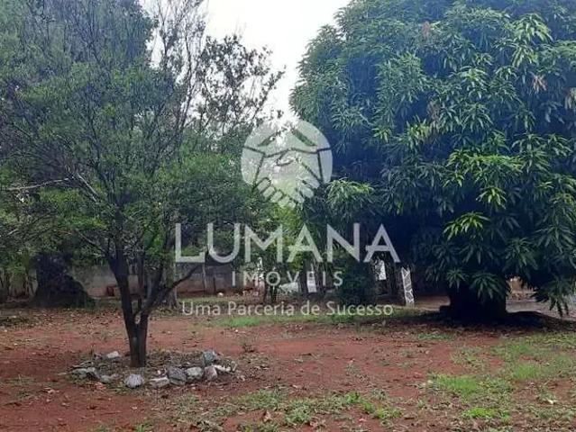 Terreno / Lote para Venda em Lagoa Santa/MG Centro 3 Quartos