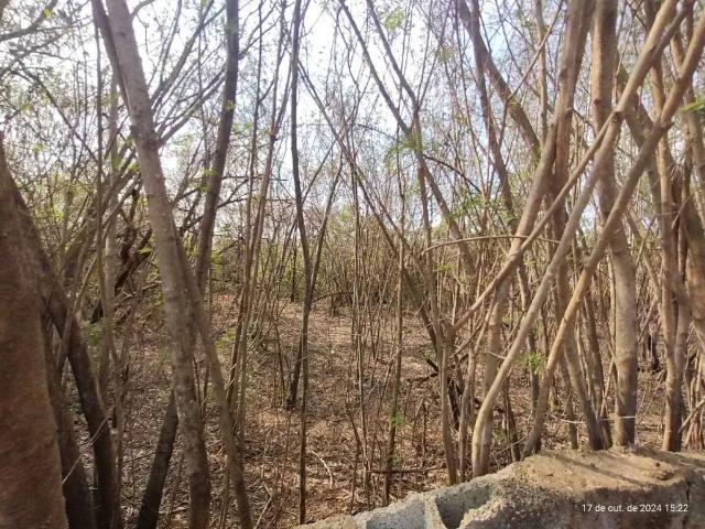 Terreno / Lote para Venda em Lagoa Santa/MG Condomínio Boulevard