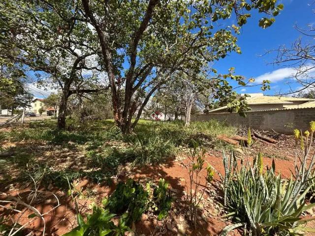 Terreno / Lote para Venda em Lagoa Santa/MG Condomínio Roseiral