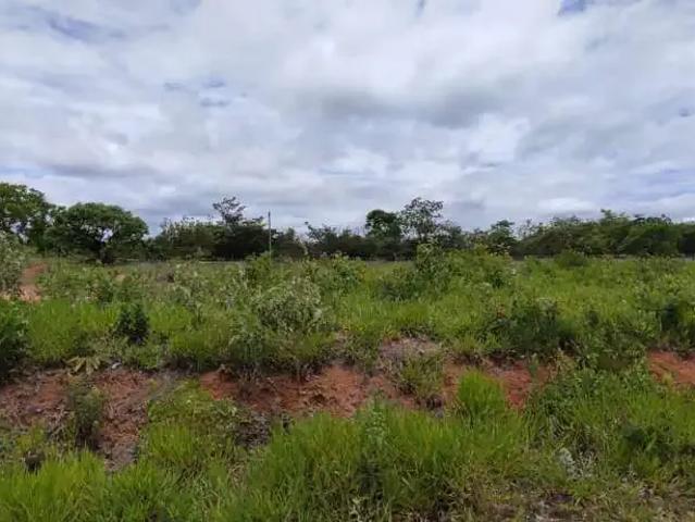 Terreno / Lote para Venda em Lagoa Santa/MG Condomínio Real Garden