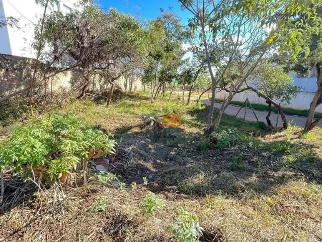 Terreno / Lote para Venda em Lagoa Santa/MG Jardim Imperial