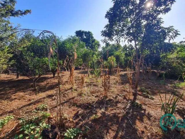 Terreno / Lote para Venda em Lagoa Santa/MG Jardim Ipê