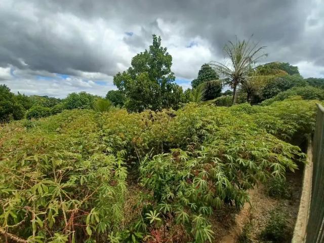 Terreno / Lote para Venda em Lagoa Santa/MG Jardim Ipê