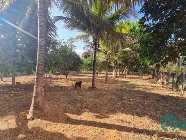 Terreno / Lote para Venda em Lagoa Santa/MG Jardim Ipê