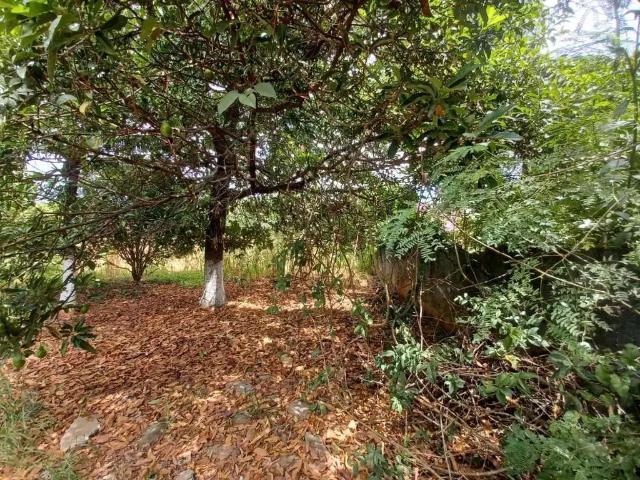 Terreno / Lote para Venda em Lagoa Santa/MG Jardim Ipê