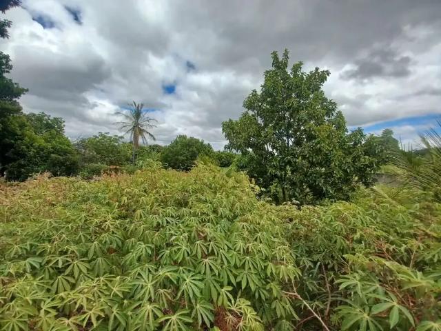 Terreno / Lote para Venda em Lagoa Santa/MG Jardim Ipê