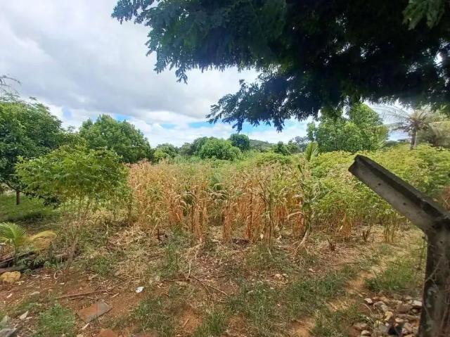 Terreno / Lote para Venda em Lagoa Santa/MG Jardim Ipê