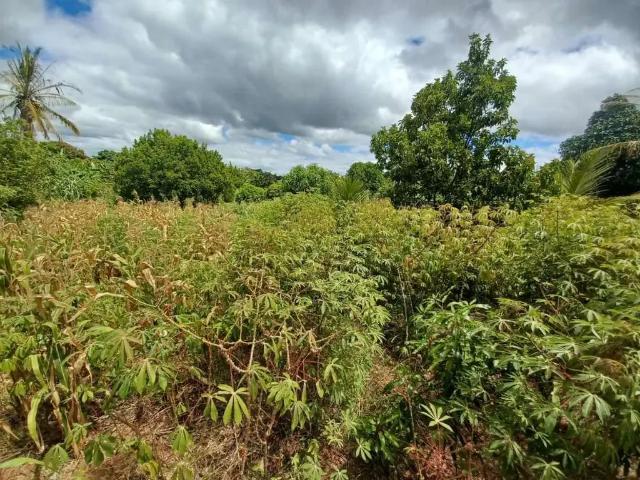 Terreno / Lote para Venda em Lagoa Santa/MG Jardim Ipê