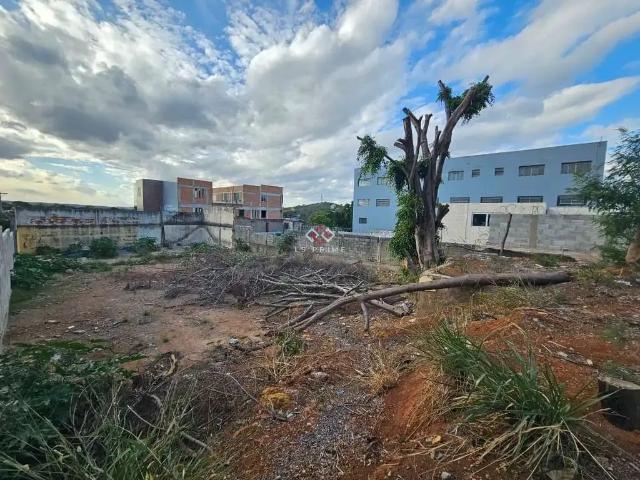 Terreno / Lote para Venda em Lagoa Santa/MG Jardim Ipê