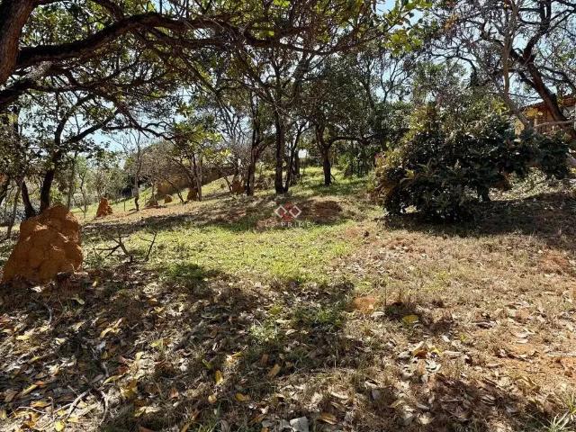 Terreno / Lote para Venda em Lagoa Santa/MG Jardins Da Lagoa