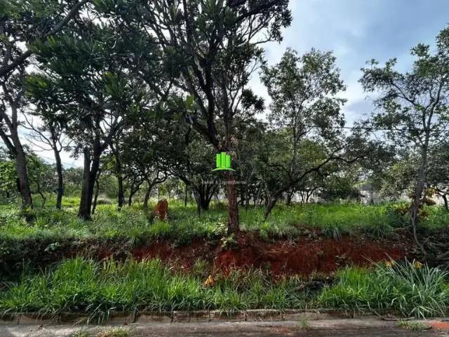 Terreno / Lote para Venda em Lagoa Santa/MG Lagoa Mansões