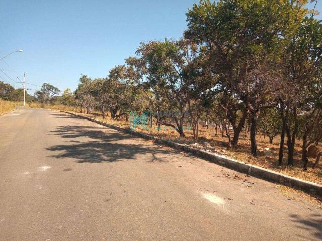 Terreno / Lote para Venda em Lagoa Santa/MG Lagoa Mansões