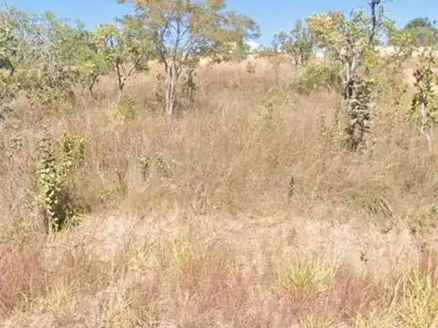 Terreno / Lote para Venda em Lagoa Santa/MG Lagoa Mansões