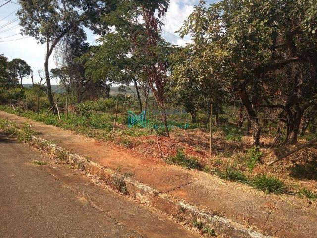 Terreno / Lote para Venda em Lagoa Santa/MG Lagoa Mansões