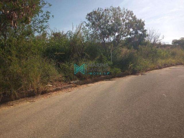Terreno / Lote para Venda em Lagoa Santa/MG Lagoa Mansões