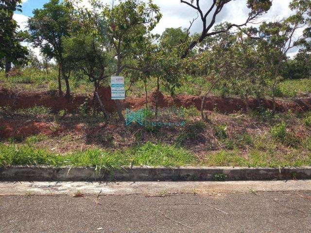 Terreno / Lote para Venda em Lagoa Santa/MG Lagoa Mansões