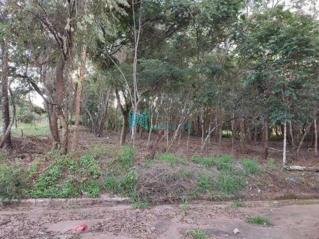 Terreno / Lote para Venda em Lagoa Santa/MG Lagoa Mansões