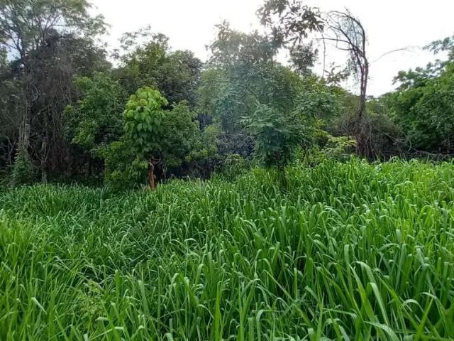 Terreno / Lote para Venda em Lagoa Santa/MG Lagoa Mansões