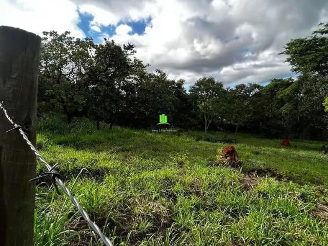 Terreno / Lote para Venda em Lagoa Santa/MG Lagoa Mansões