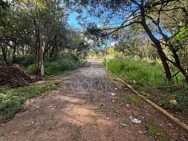 Terreno / Lote para Venda em Lagoa Santa/MG Lagoa Mansões