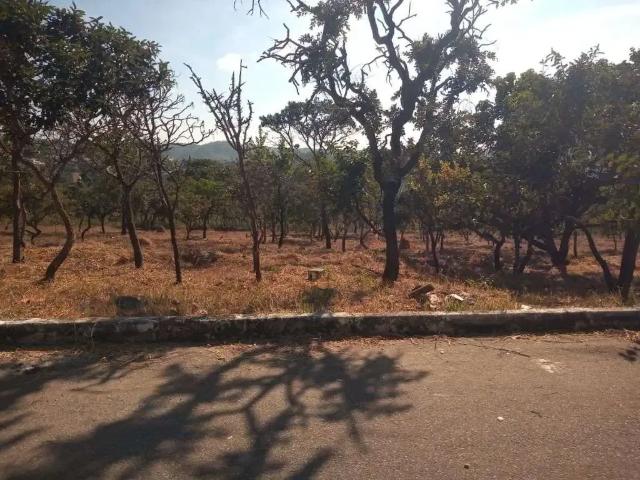 Terreno / Lote para Venda em Lagoa Santa/MG Lagoa Mansões