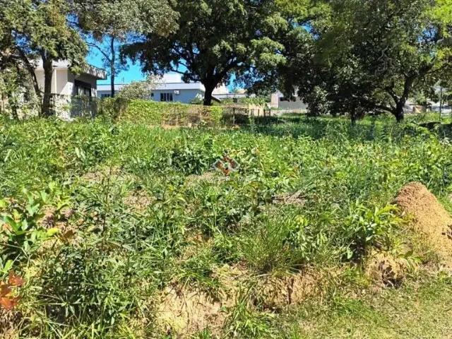 Terreno / Lote para Venda em Lagoa Santa/MG Lagoa Santa Park Residence