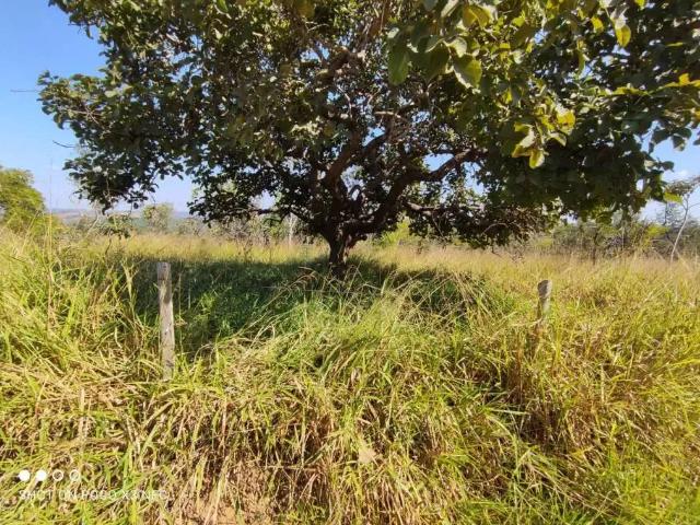 Terreno / Lote para Venda em Lagoa Santa/MG Lagoinha de Fora